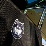 Husky 180 Horsepower | Husky A-1C Aircraft - Aviat | Aircraft ...