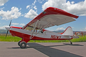 Aviat Husky Aircraft Paint Schemes | Custom Aircraft Paint Schemes ...