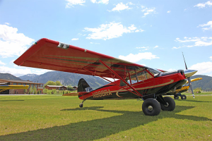 Aviat Husky Aircraft Paint Schemes | Custom Aircraft Paint Schemes ...