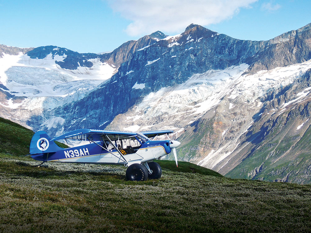 alaska_grass_strip | Aircraft Manufacturers | Pitts and Husky Aircraft ...