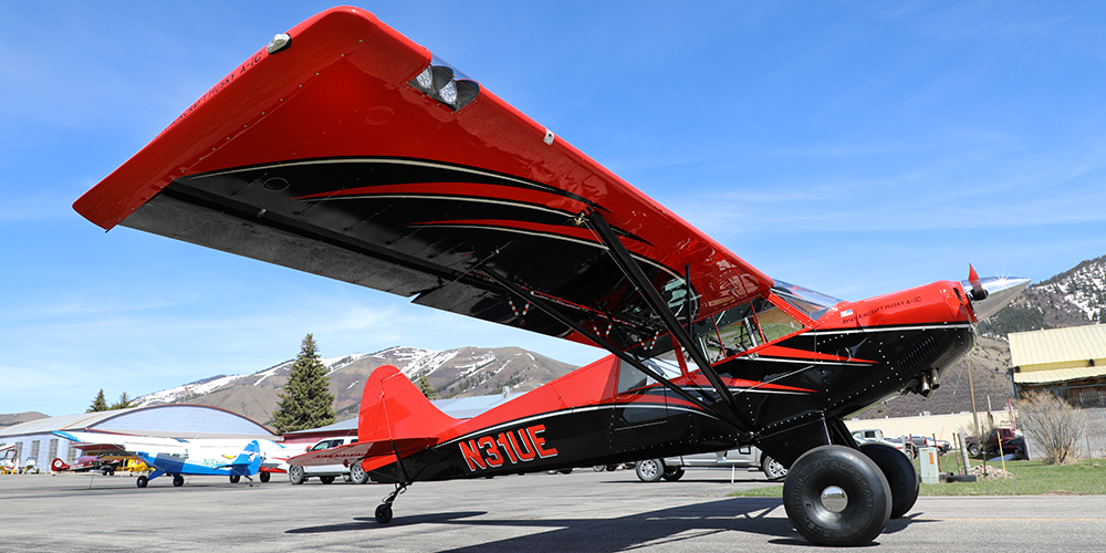 N31UE_fq_door | Aircraft Manufacturers | Pitts, Husky, Eagle Aircraft ...