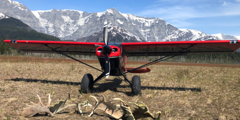 ak_beach_n70ll_moose_antlers | Aircraft Manufacturers | Pitts, Husky ...