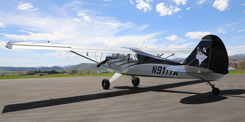 | Aircraft Manufacturers | Pitts, Husky, Eagle Aircraft - Aviat