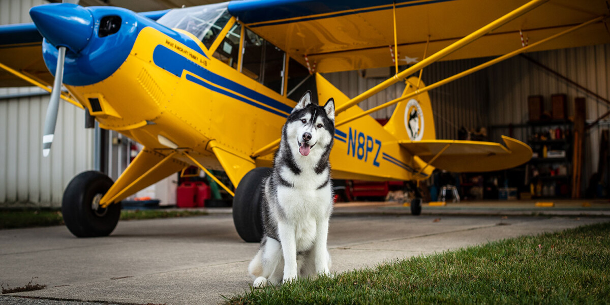 aviat_the_husky | Aircraft Manufacturers | Pitts, Husky, Eagle Aircraft ...