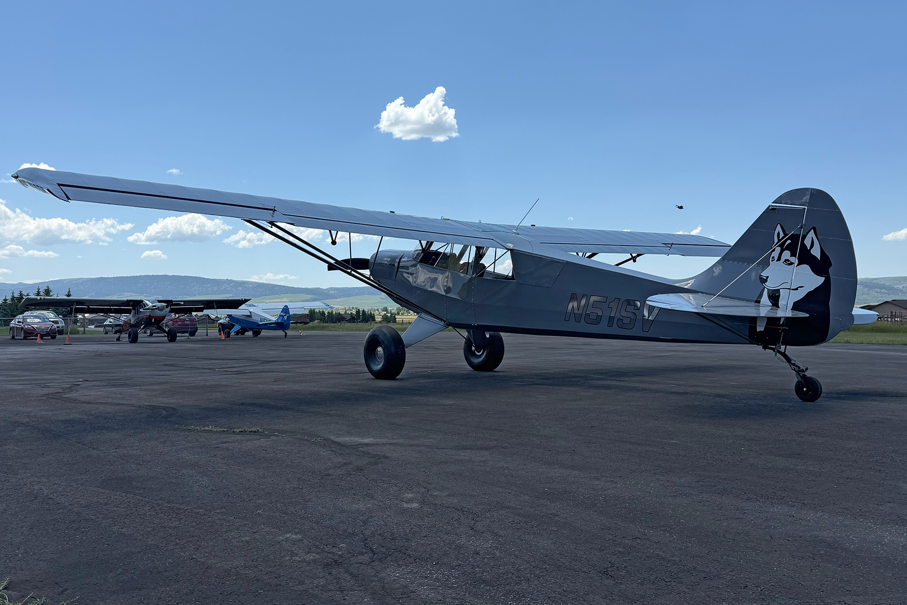 Husky STOL Aircraft for Sale, In Stock ready for Delivery | Aircraft ...